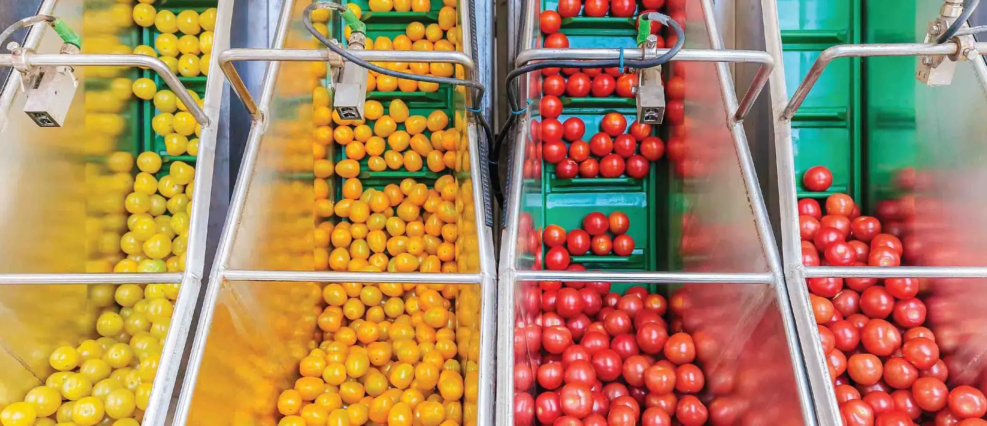 Luminómetro CLEAN TRACE de NEOGEN demuestra ser el más confiable según ...